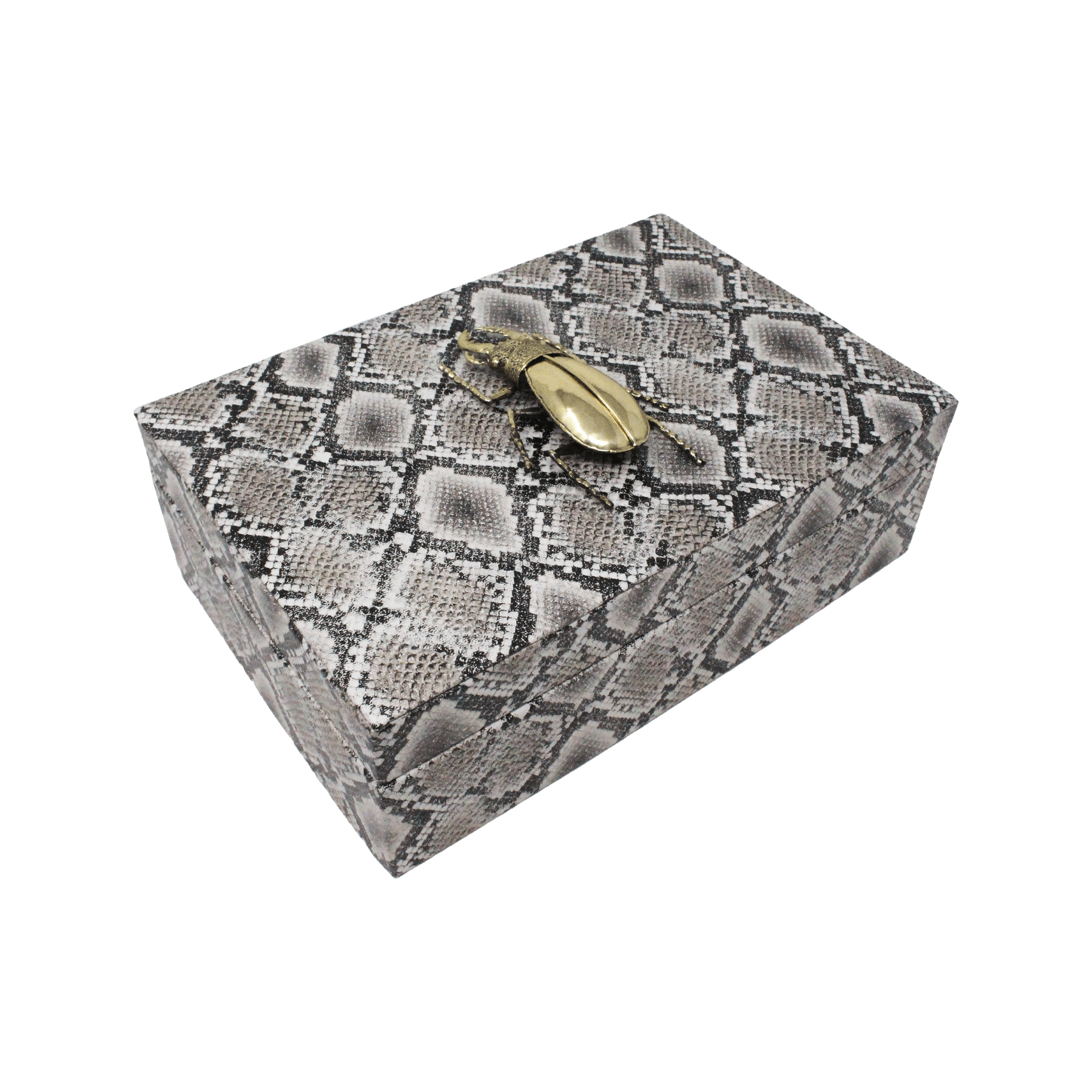 Beetle Embossed Small Box – LAURA CANTU JEWELRY